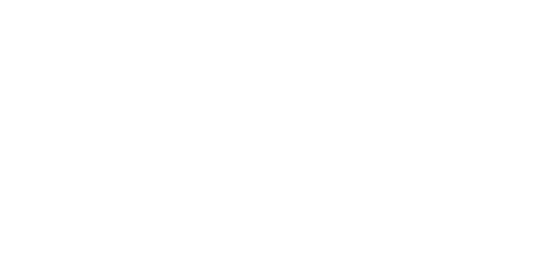 About - Diamond Line Delivery Inc